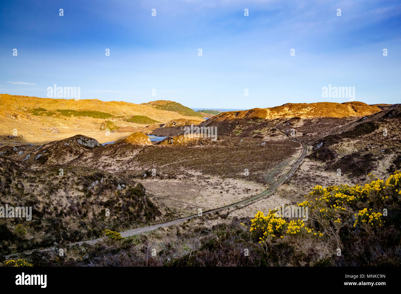 The approach path to Suilven, Assynt, Scotland Stock Photo - Alamy