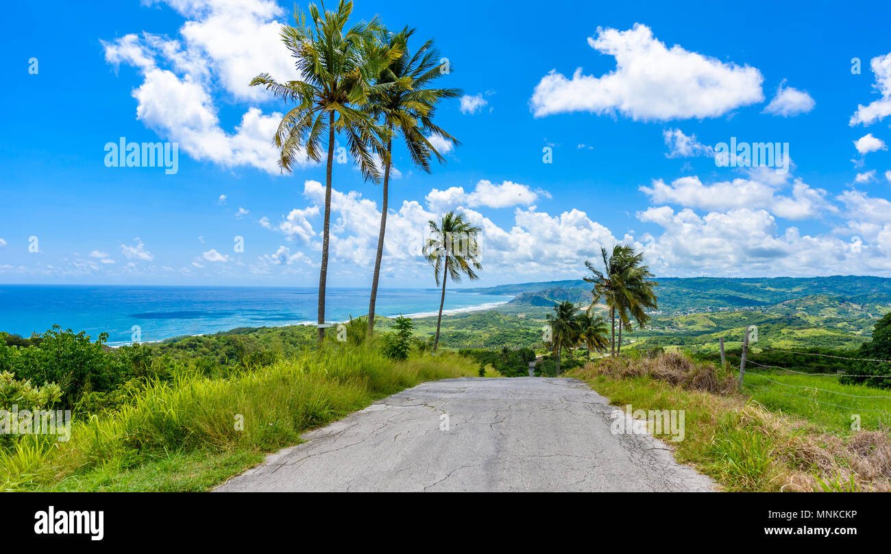 Barbados cherry tree hill road hi-res stock photography and images - Alamy