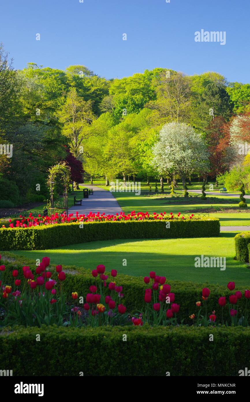 Central Alley Flower Bed of Seaton Park in Vibrant Spring Splendour. on ...