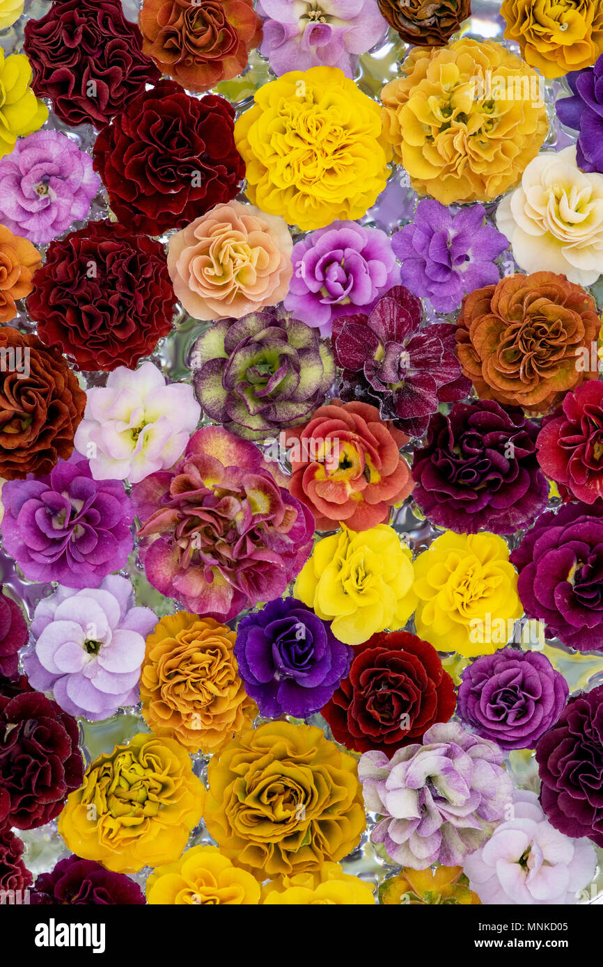 Water pattern hi-res stock photography and images - Alamy