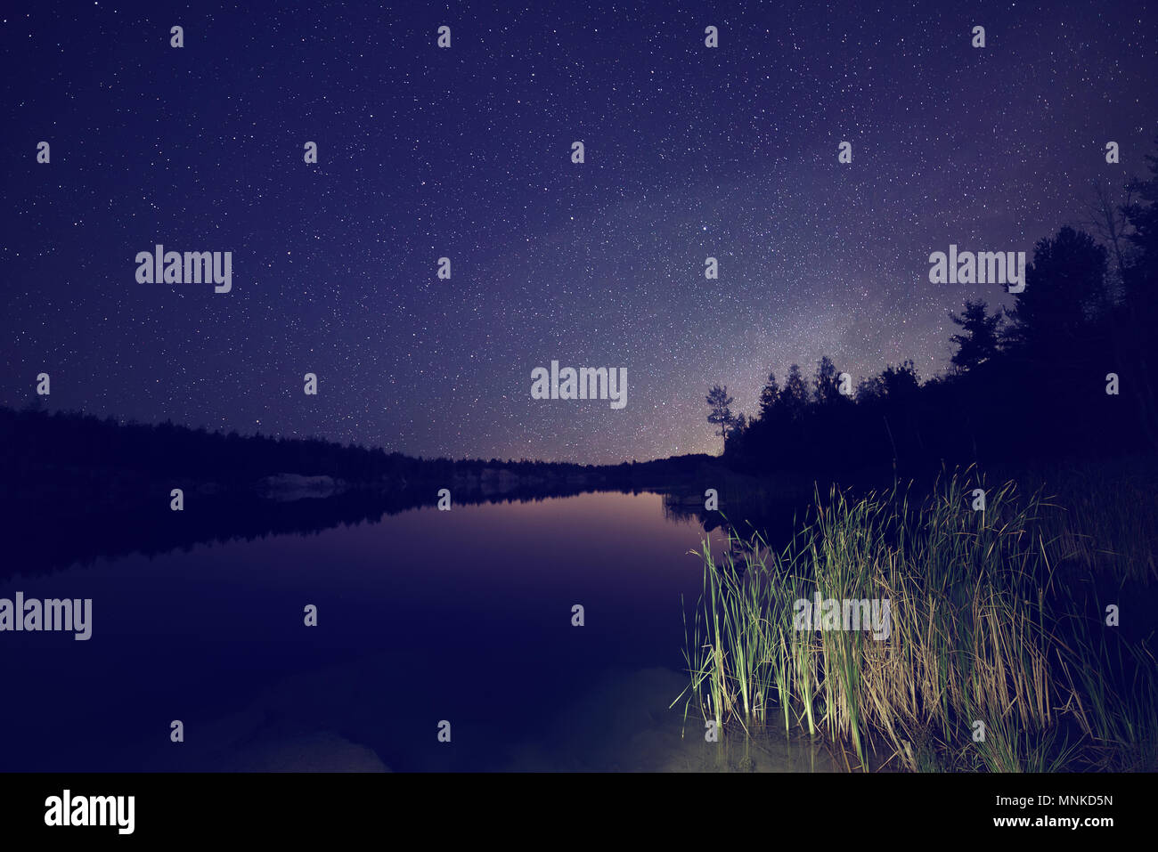 Lake at night Stock Photo - Alamy