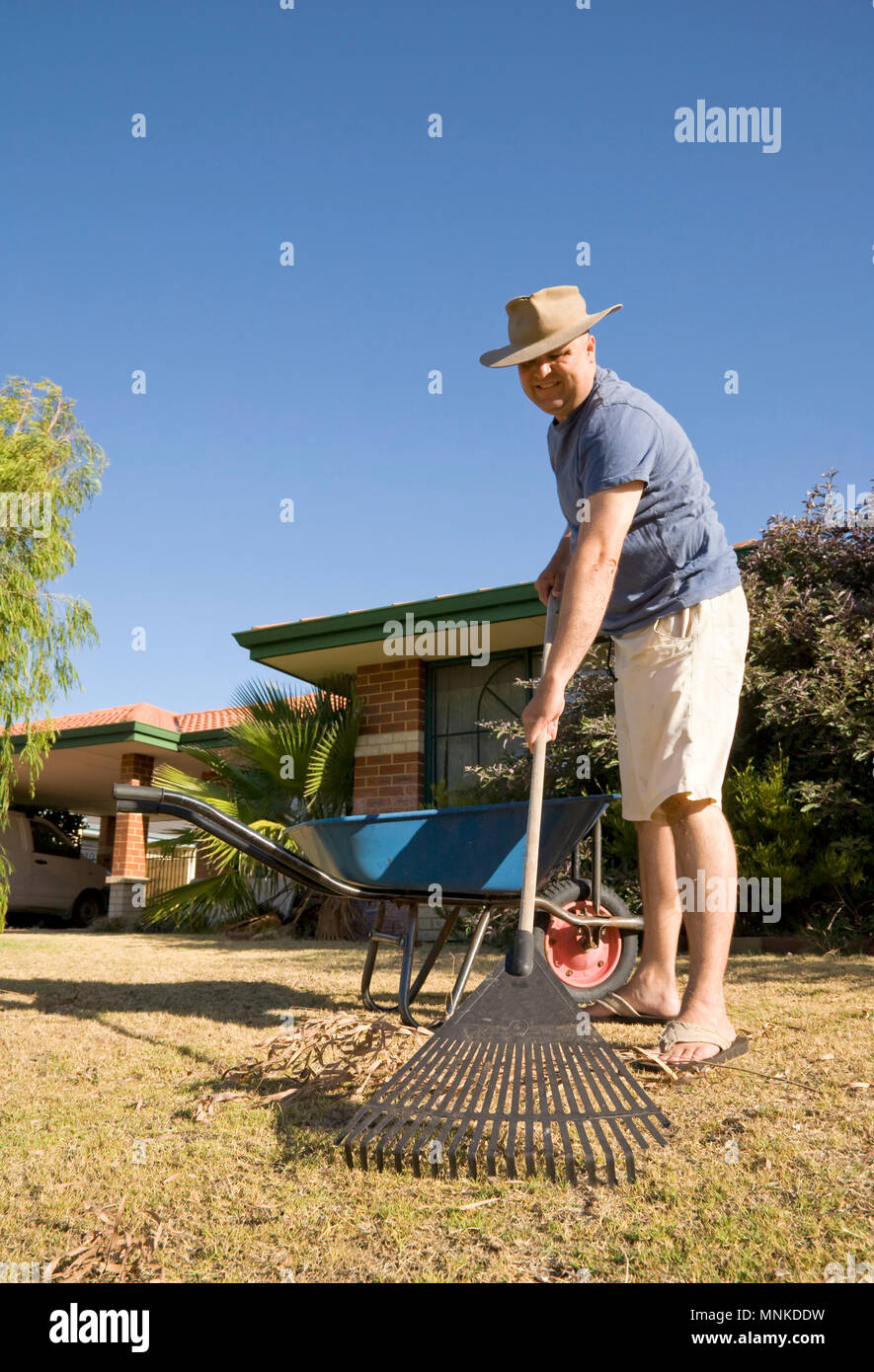 Wheelbarrow with the clippings hi-res stock photography and images - Alamy