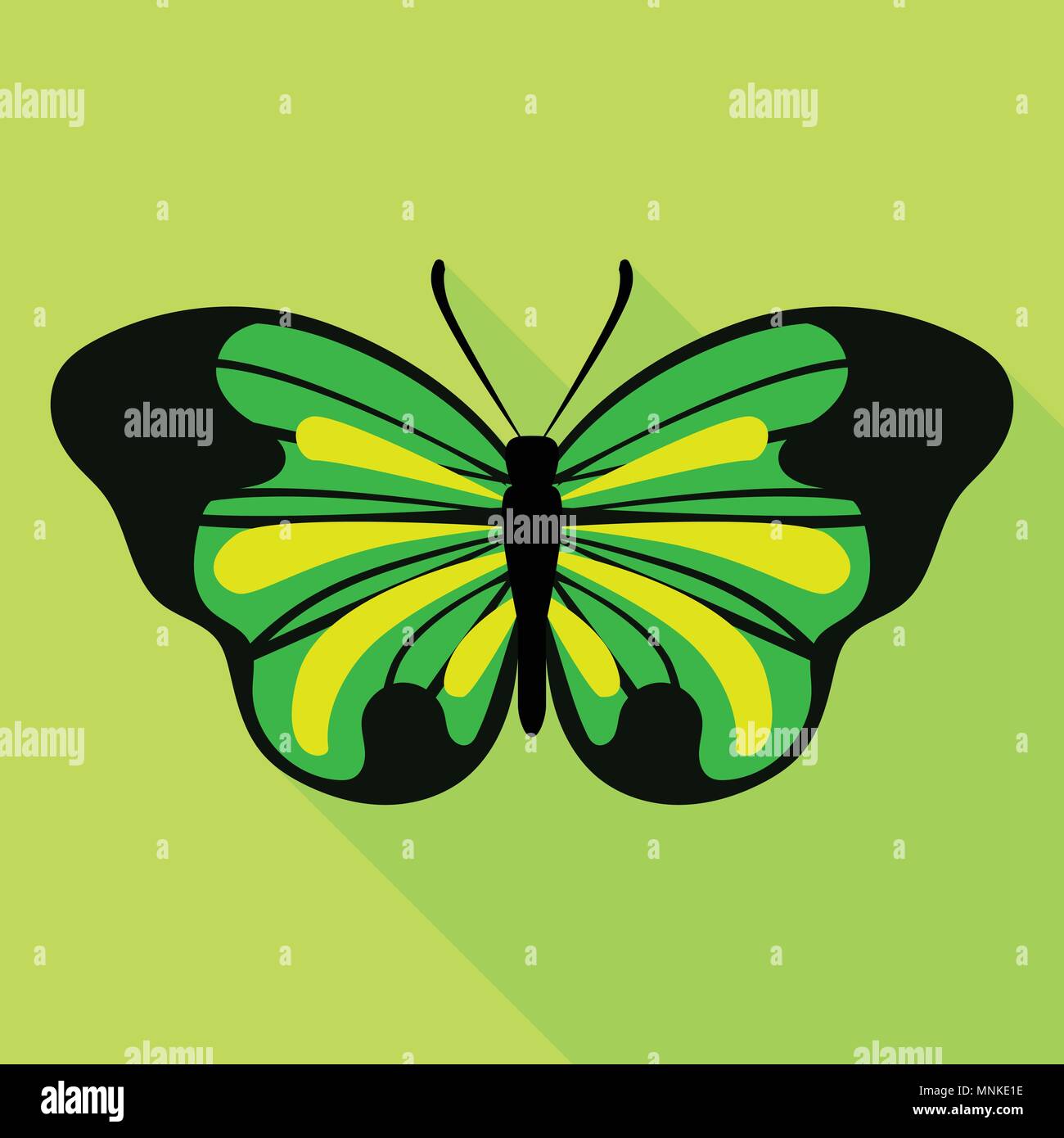 Big green butterfly icon, flat style Stock Vector Image & Art - Alamy