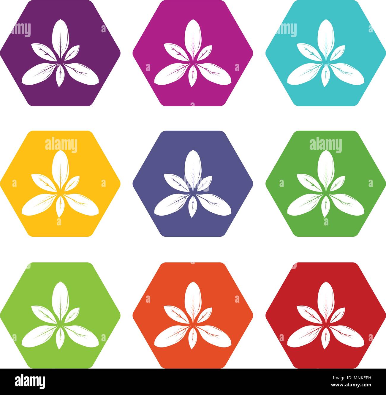 Leaf icons set 9 vector Stock Vector Image & Art - Alamy
