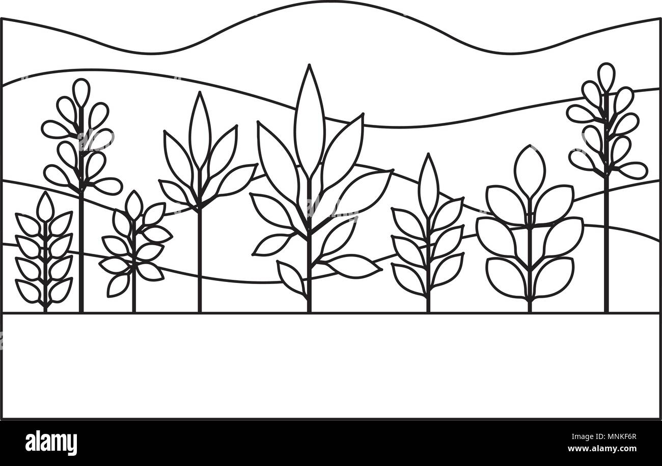 field landscape natural scene Stock Vector Image & Art - Alamy