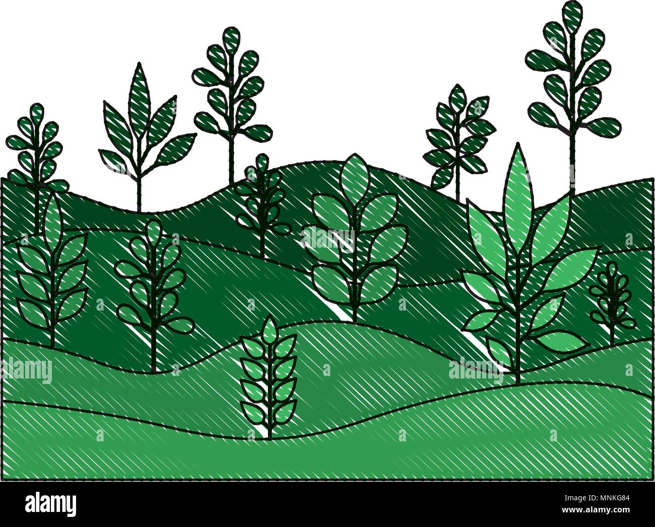 Field in morning atmosphere Stock Vector Images - Alamy