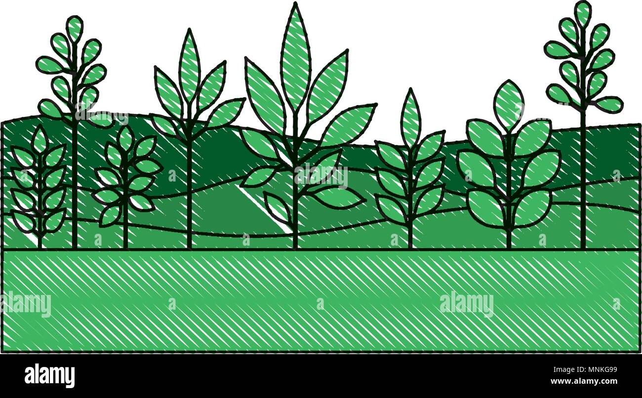 field landscape natural scene Stock Vector Image & Art - Alamy