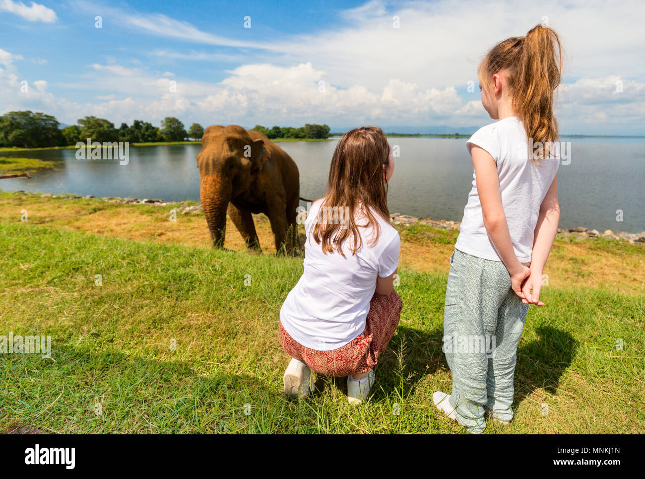 Family of mother and daughter watching elephant at Udawalawe National ...