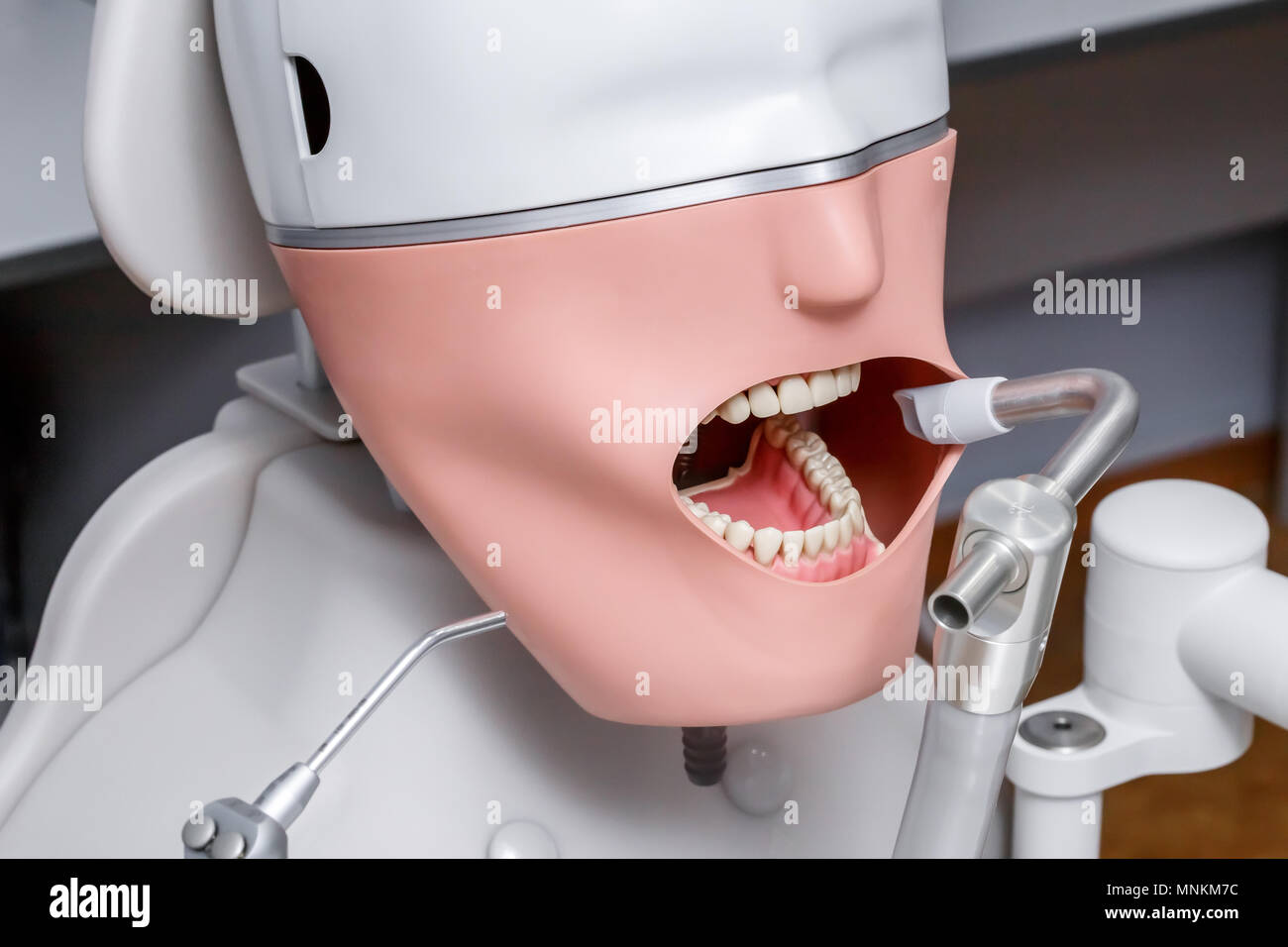 Mannequin or dummy for dentist students training in dental faculties of ...