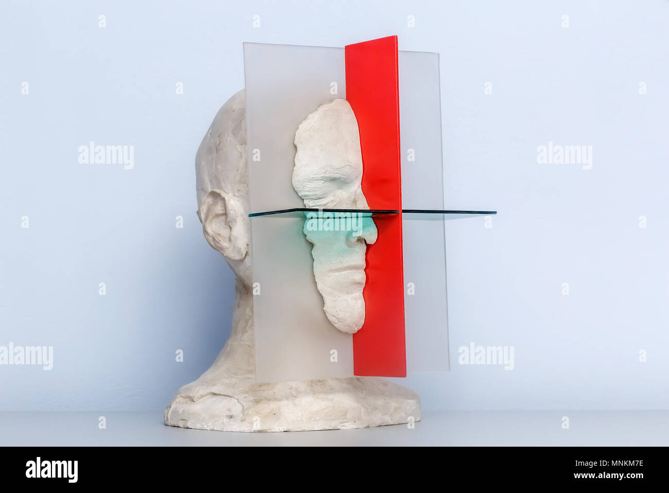Medical human head model with four sections of face Stock Photo - Alamy