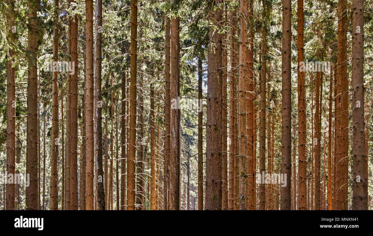 Freien hi-res stock photography and images - Alamy