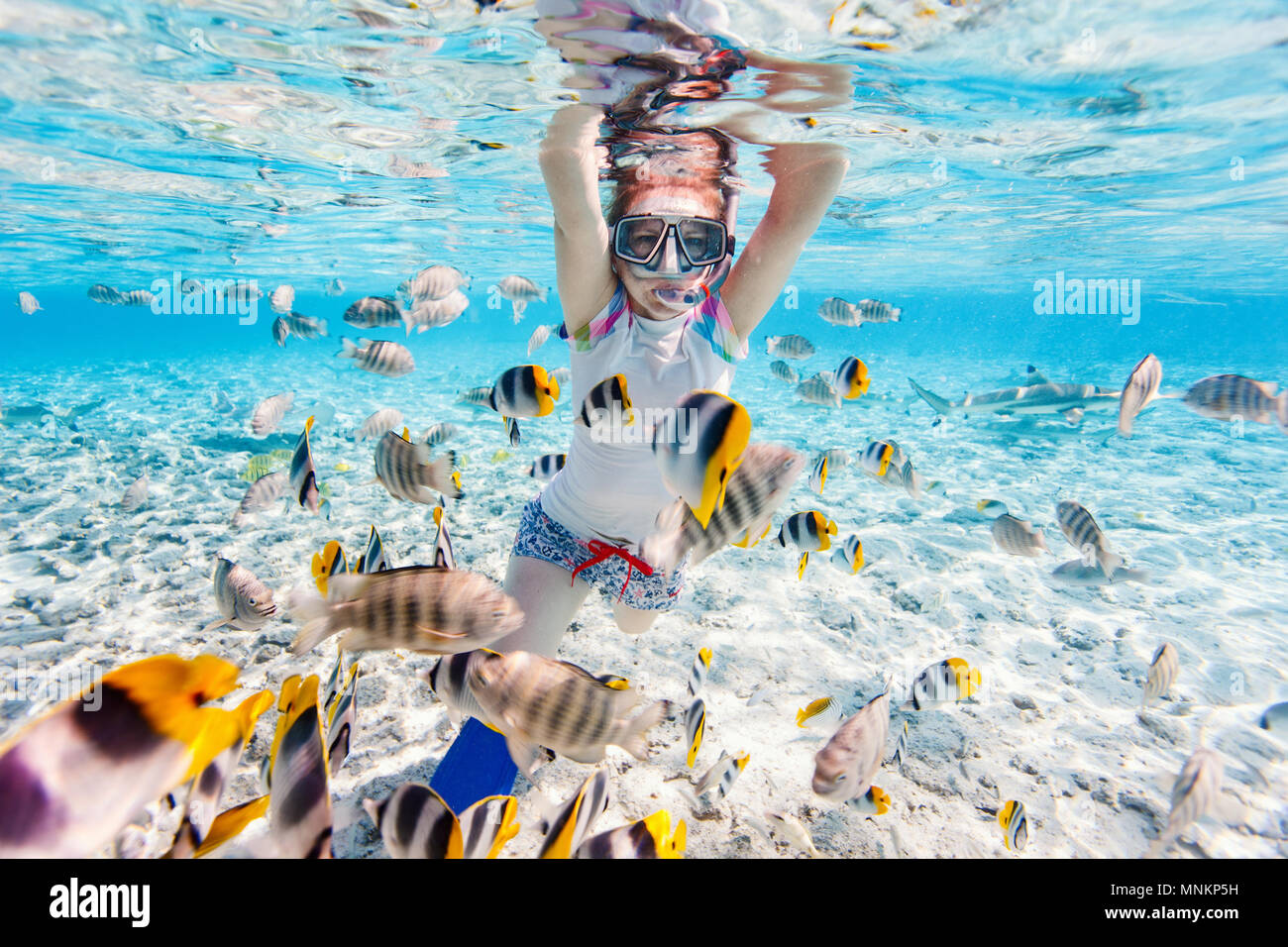 Diver among fish hi-res stock photography and images - Alamy