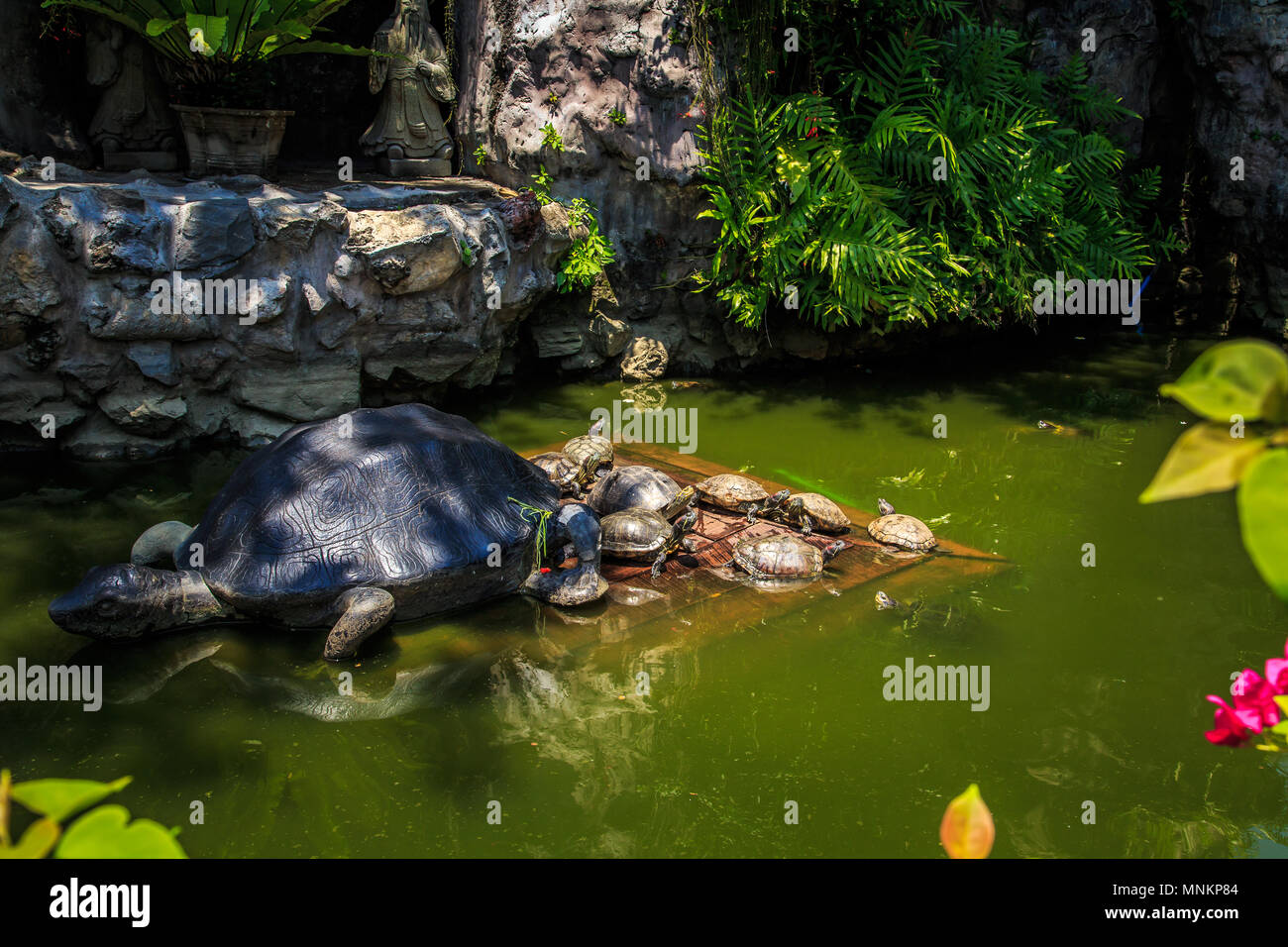 Temple of Wat Prayoon (Turtle temple) in Bangkok, Thailand Stock Photo ...