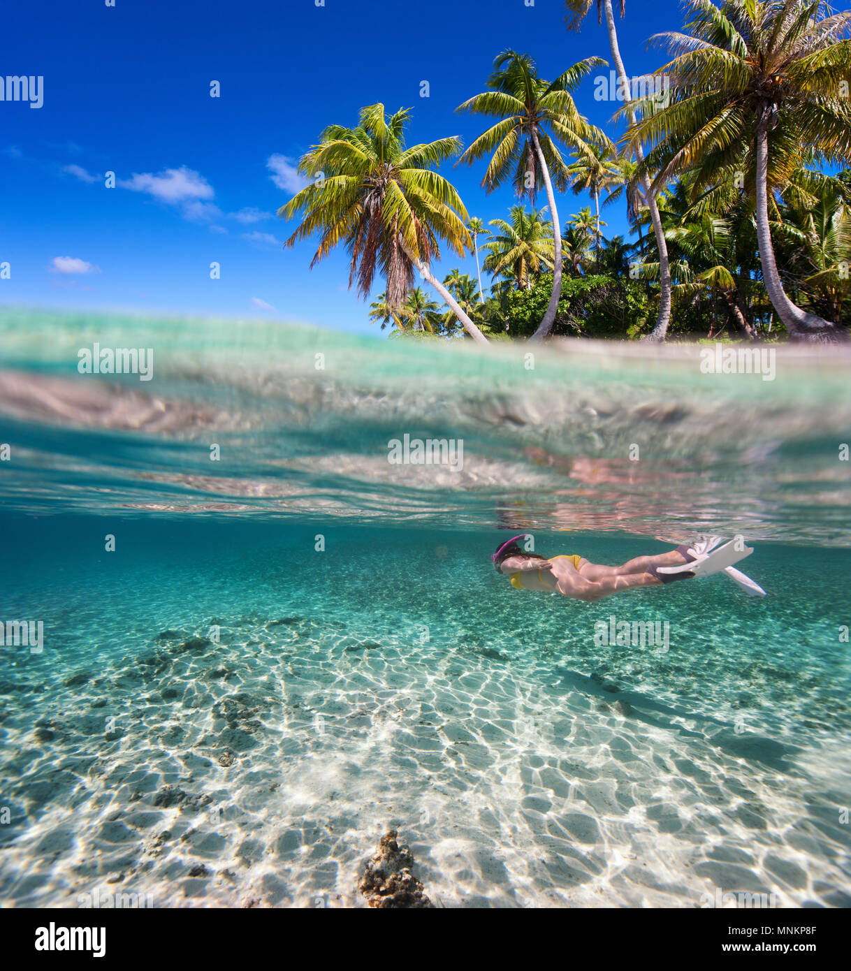 Underwater Tropical High Resolution Stock Photography and Images - Alamy
