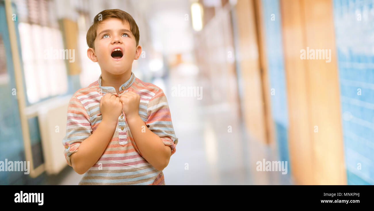Handsome toddler child with green eyes happy and excited celebrating ...