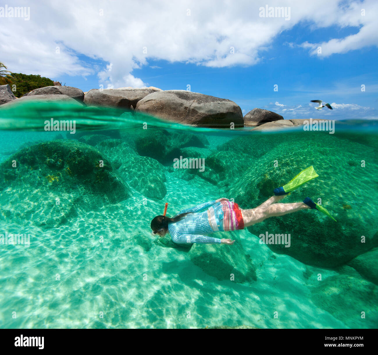 British Virgin Islands Snorkeling High Resolution Stock Photography and ...