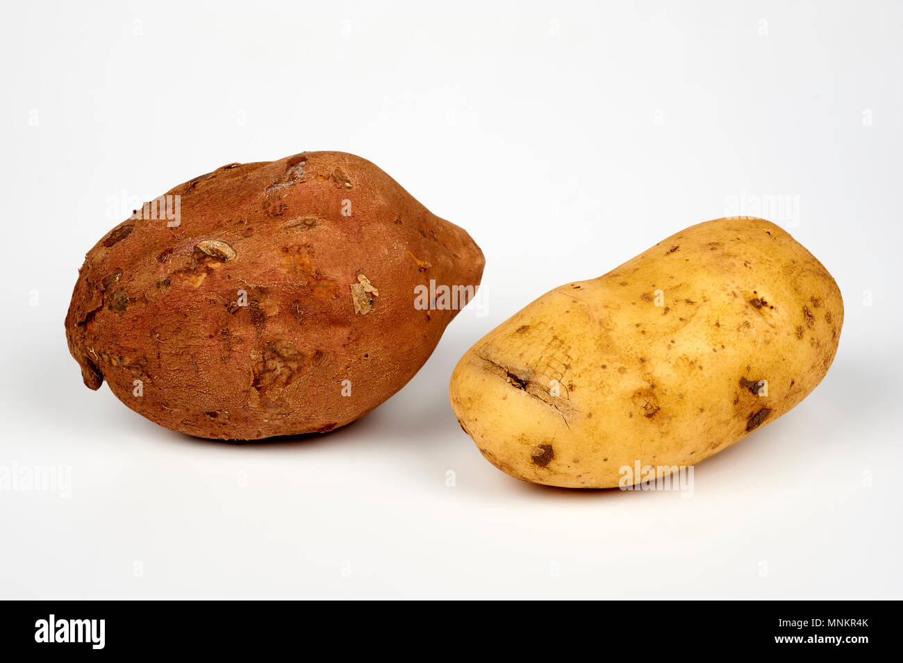 a sweet potato ( ipomoea batatas ) and a potato common( solanum ...