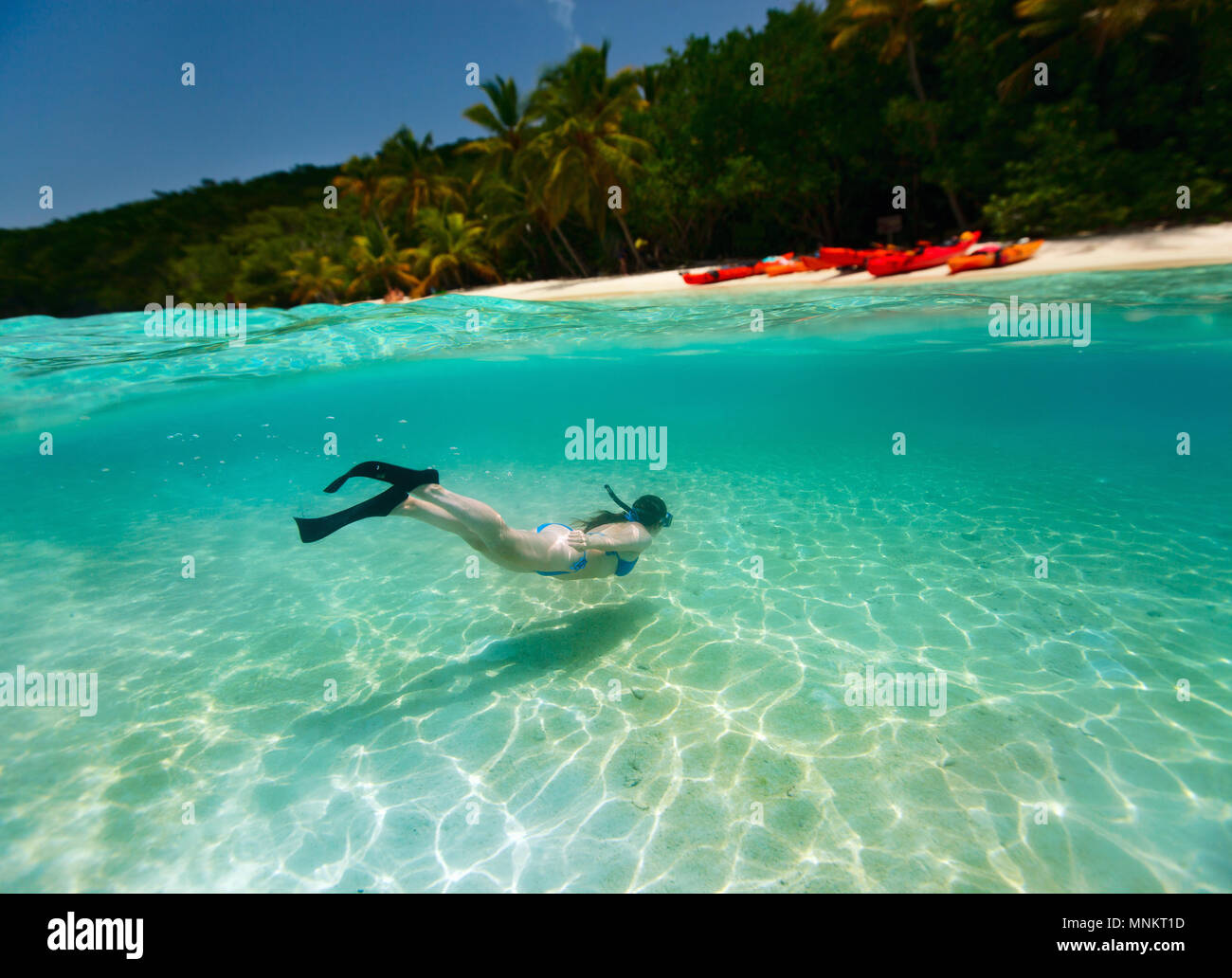 Beautiful woman swimming in transparent hi-res stock photography and ...