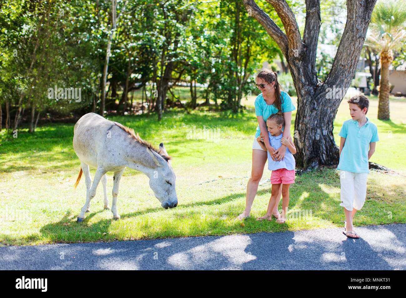 Family of mother and kids outdoors looking at wild donkeys on beautiful ...