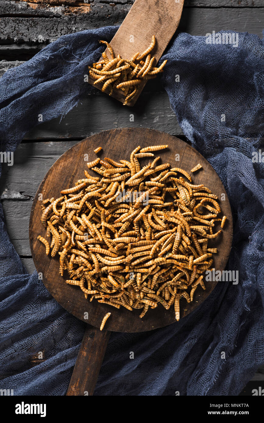 high angle shot of a pile of fried worms seasoned with garlic and herbs ...