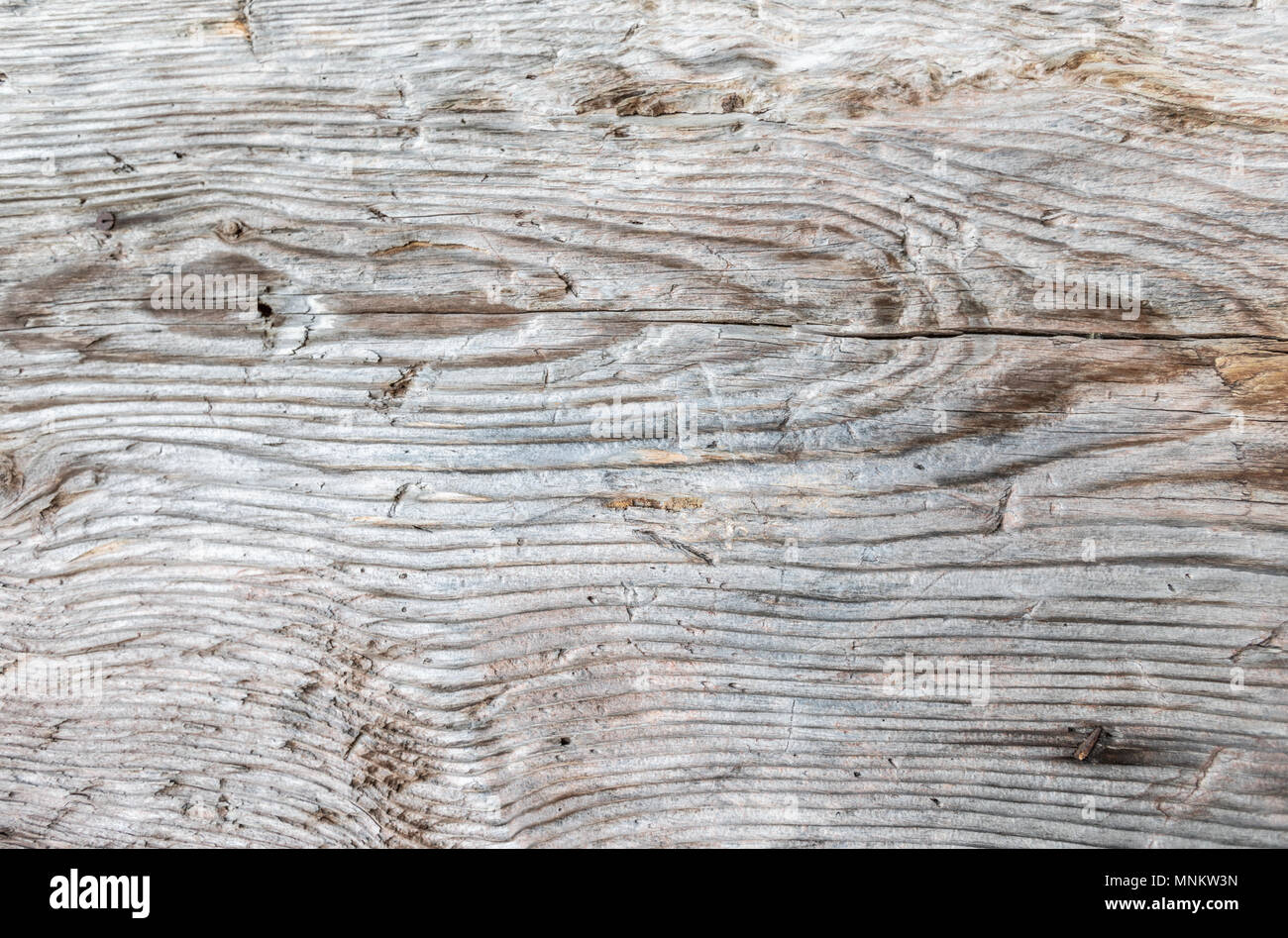 Old gray wooden texture. Background of the old tree Stock Photo - Alamy