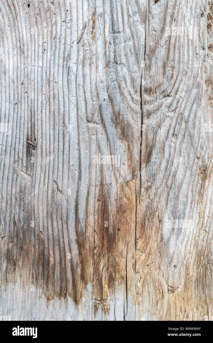 Old gray wooden texture. Background of the old tree Stock Photo - Alamy