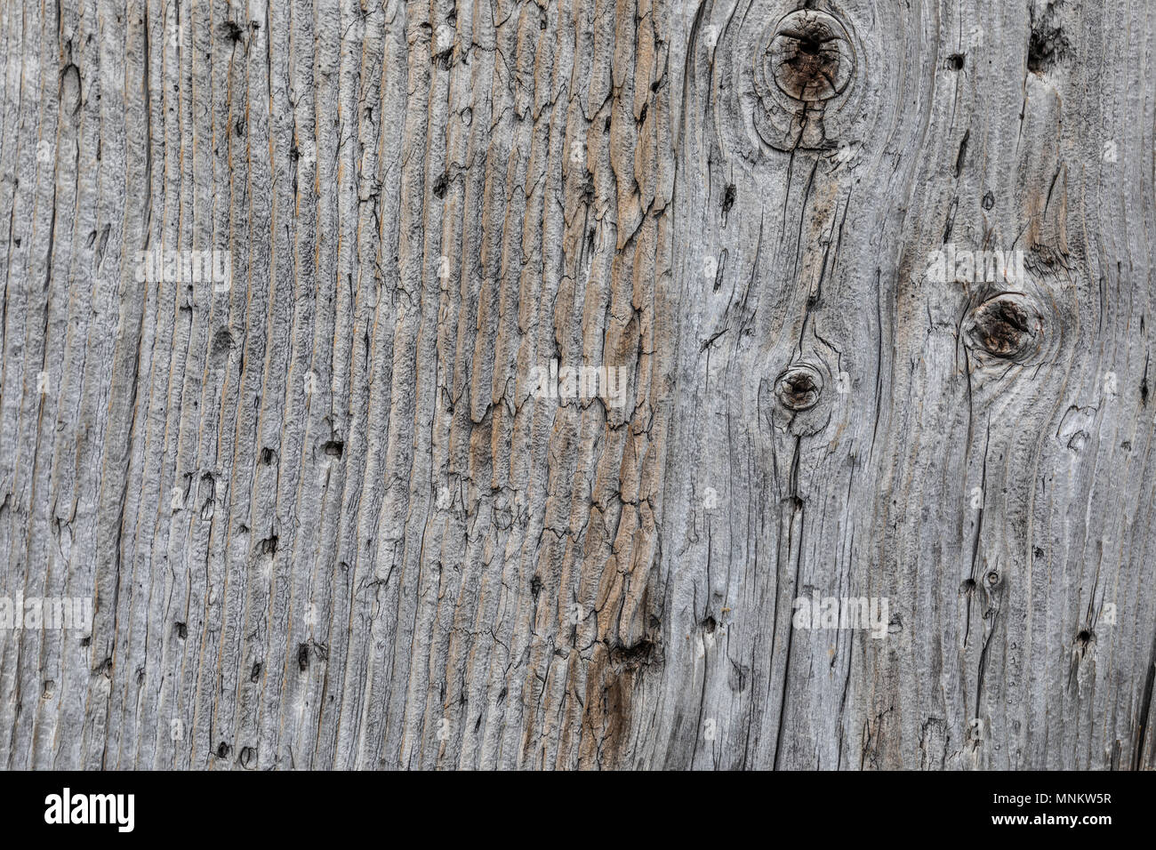 Old gray wooden texture. Background of the old tree Stock Photo - Alamy