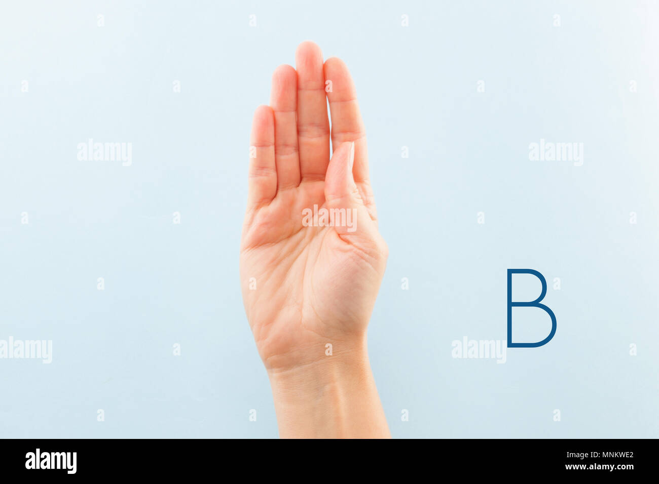 American sign language. Female hand showing letter B isolated on blue ...