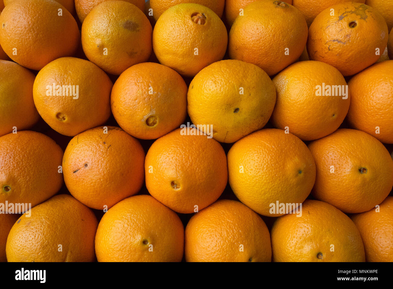 Small oranges lie side by the side, close to each other, the food ...