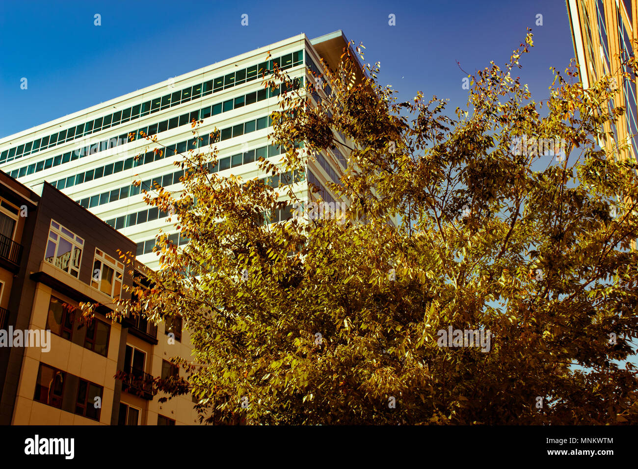 Redevelopment areas hi-res stock photography and images - Alamy