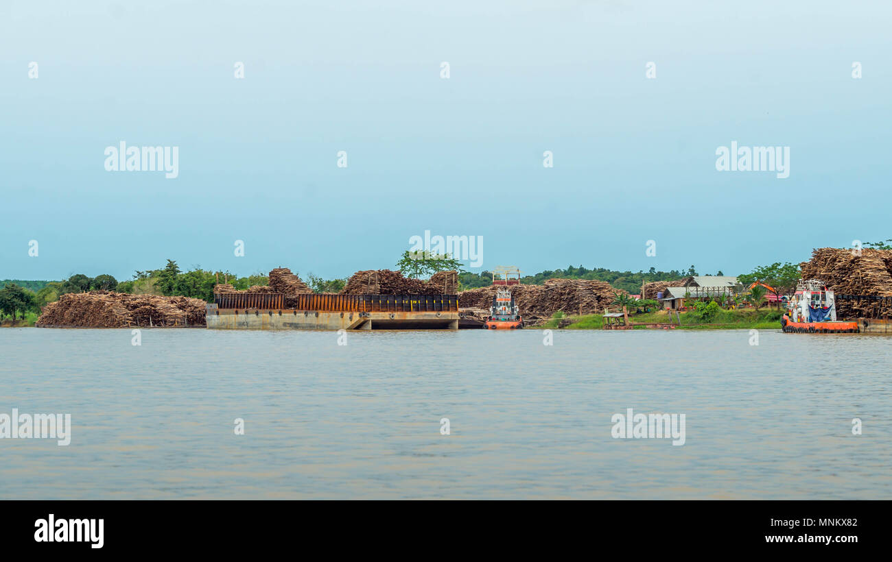 barge full of timber as raw materials for wood chips industry. Mahakam ...