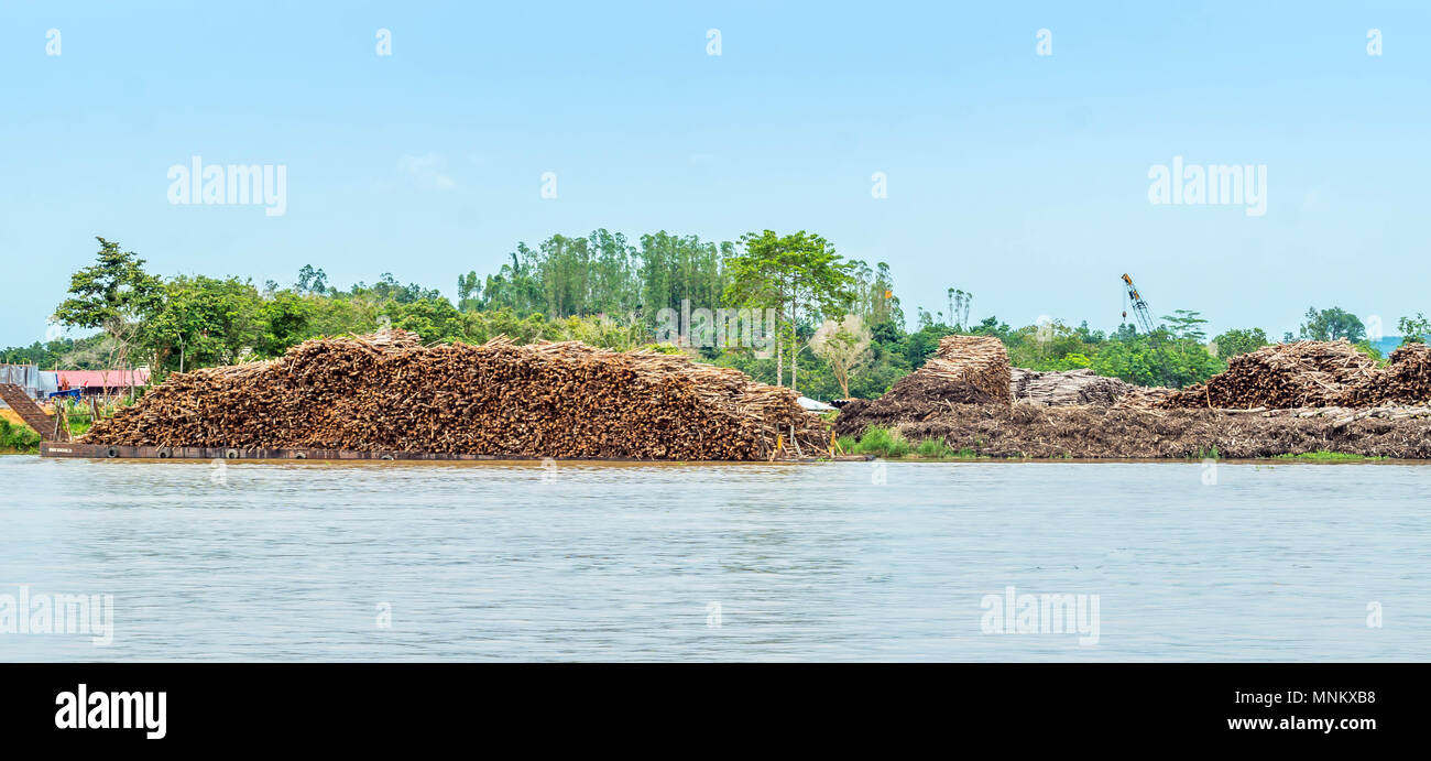 barge full of timber as raw materials for wood chips industry. Mahakam ...