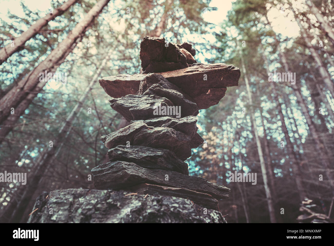Stone towers in the forest in Autumn Stock Photo - Alamy