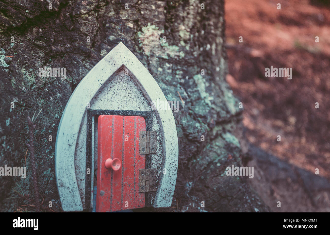 Magic fairy door in tree trunk hi-res stock photography and images - Alamy