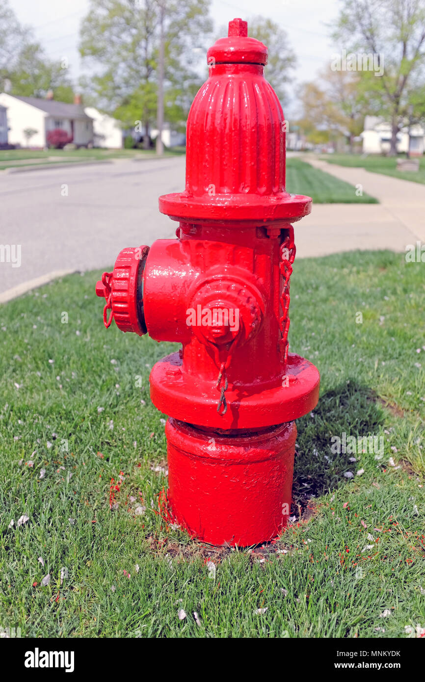 Painted fire hydrant hi-res stock photography and images - Alamy