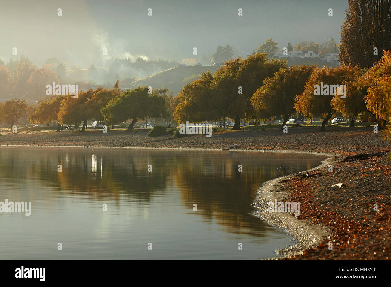 Carbon footprint air pollution hi-res stock photography and images - Alamy