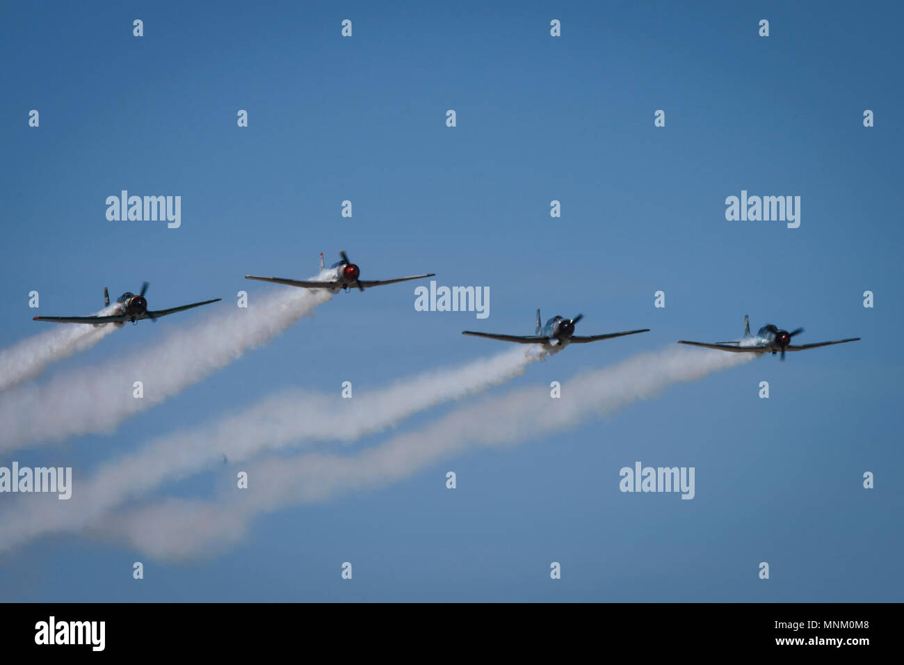 The “Desert Rats” Formation Demonstration Team, based out of the ...