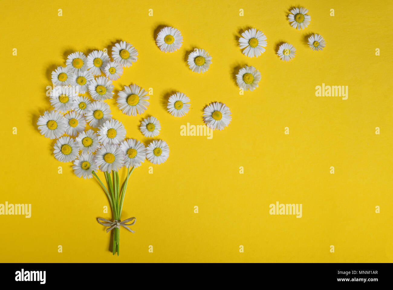 Abstract daisy flower bouquet on yellow background Stock Photo - Alamy