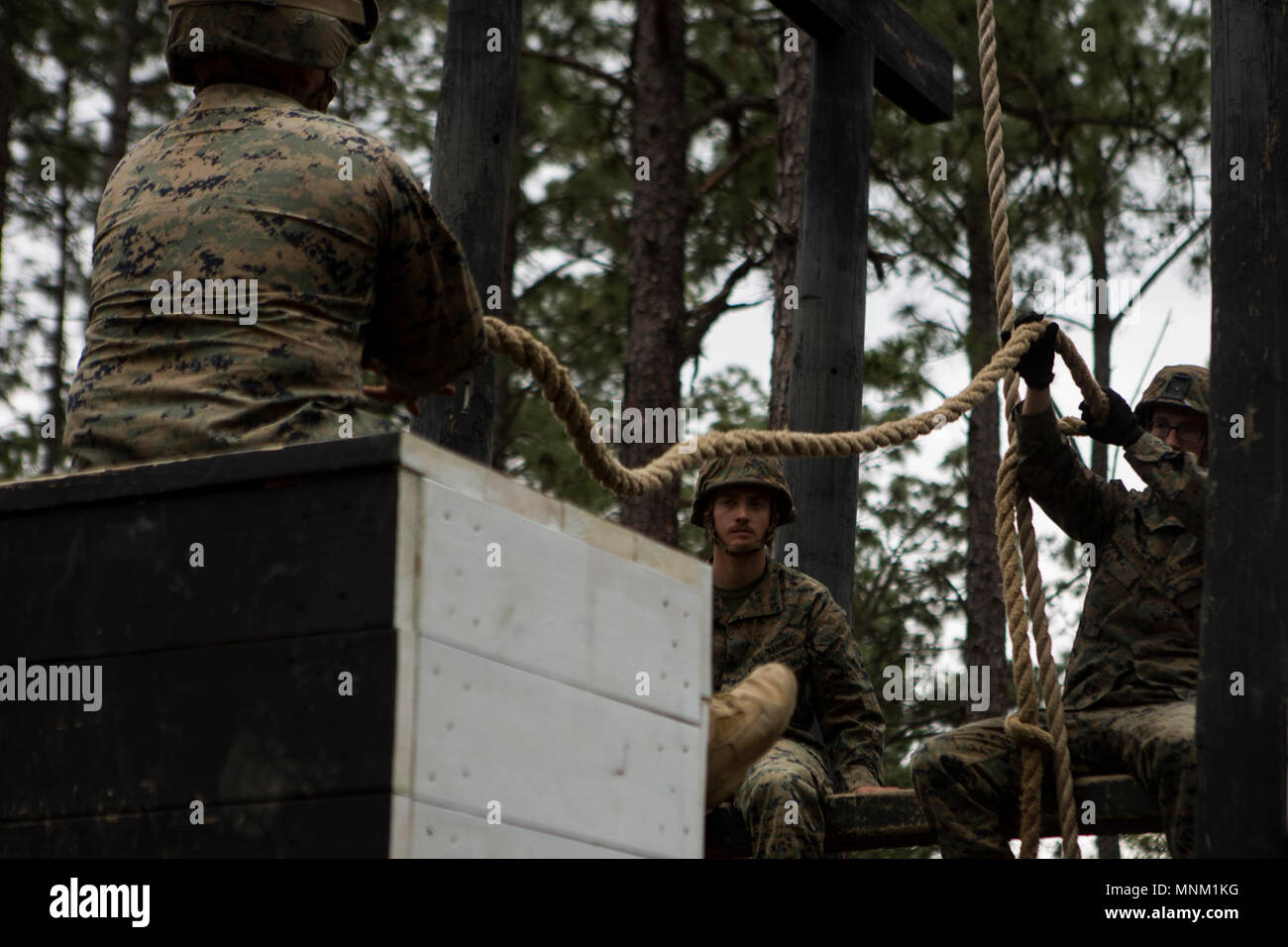 Sections enhance hi-res stock photography and images - Alamy