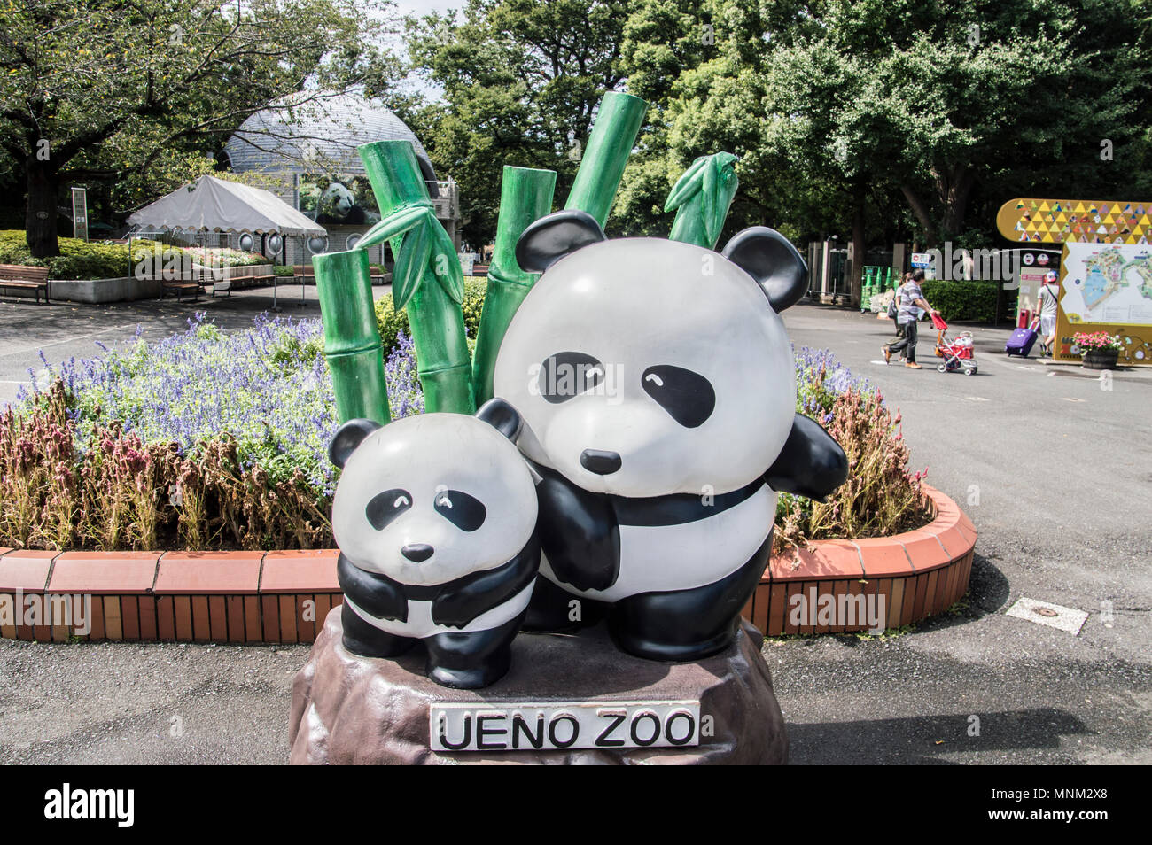 Ueno zoo panda hi-res stock photography and images - Alamy