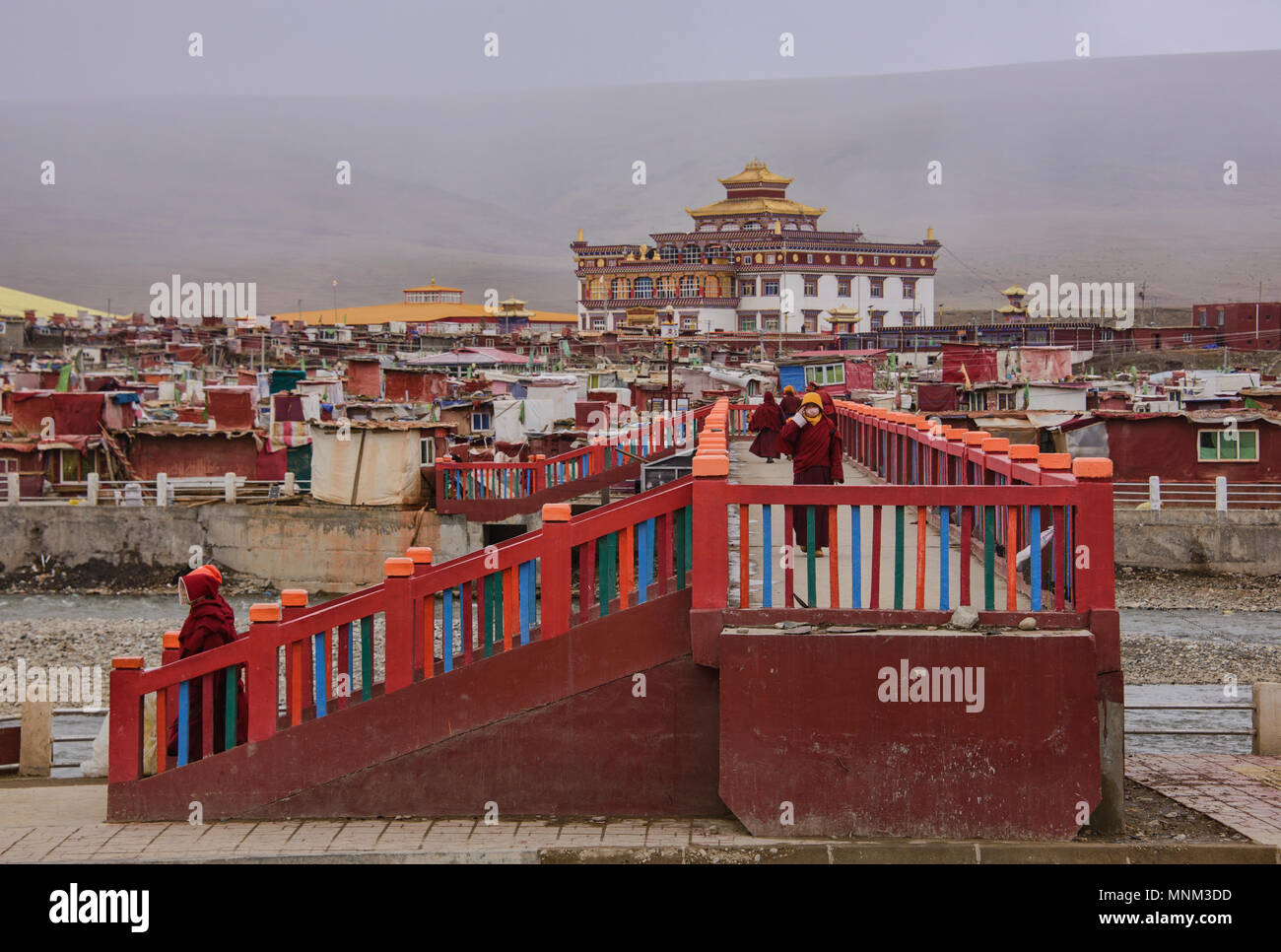 Tibetan Buddhist Nunnery High Resolution Stock Photography and Images ...