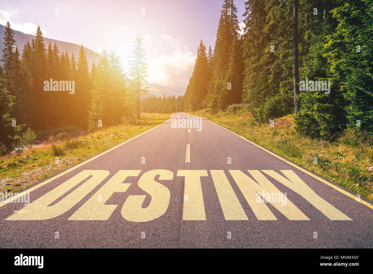 Destiny word written on road in the mountains Stock Photo - Alamy