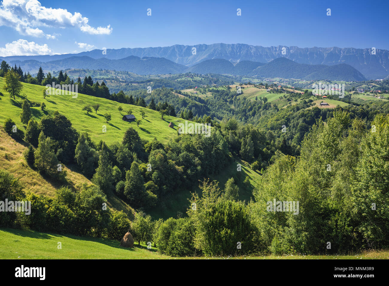Summer alpine Transylvania landmark, landscape with green fields and ...
