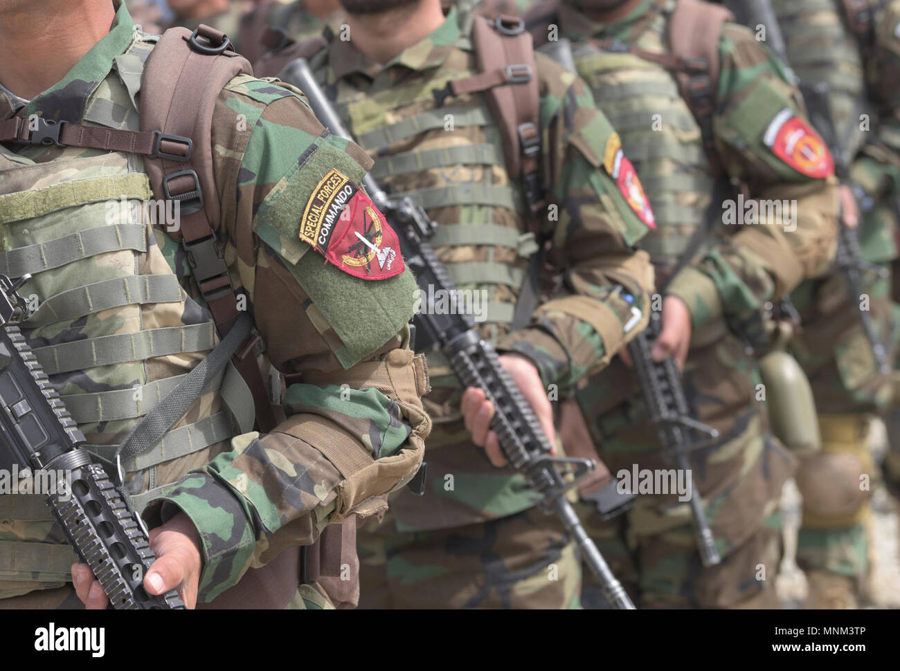 Ana commandos hi-res stock photography and images - Alamy