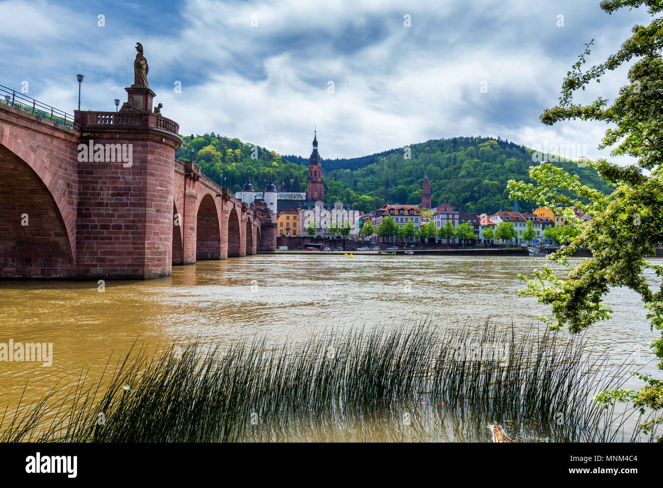 Old Neckar bridge and Heidelberg city, Germany Stock Photo - Alamy