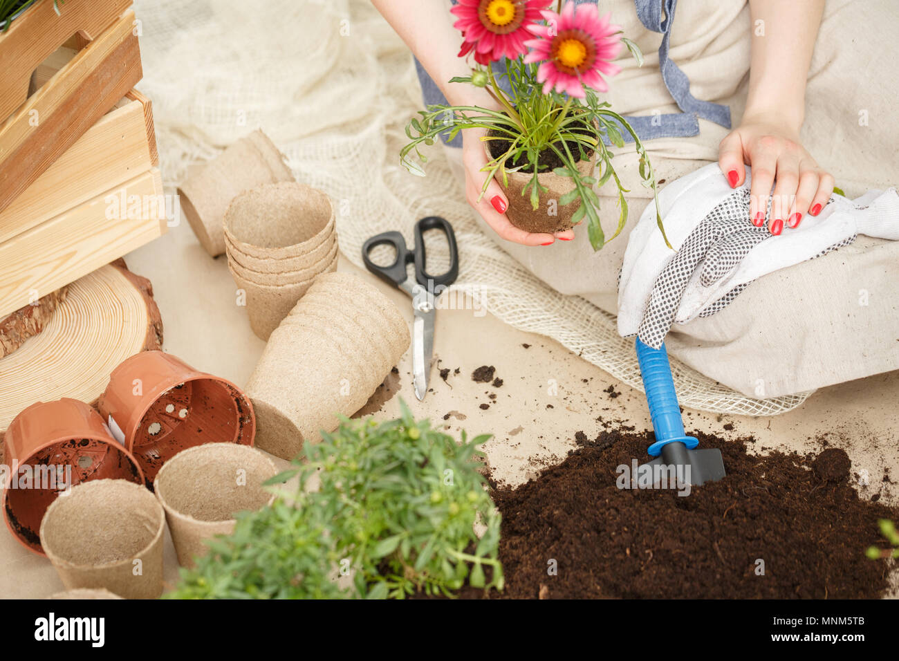 Top view of gardening tools for planting flowers and a soil Stock Photo ...