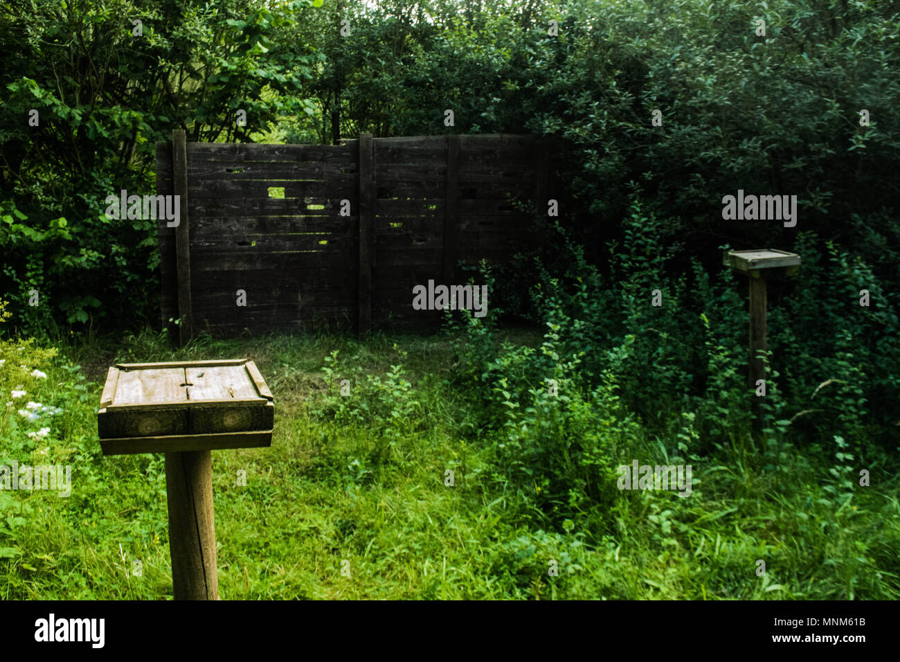 Old Wooden Platforms in Forest Stock Photo - Alamy