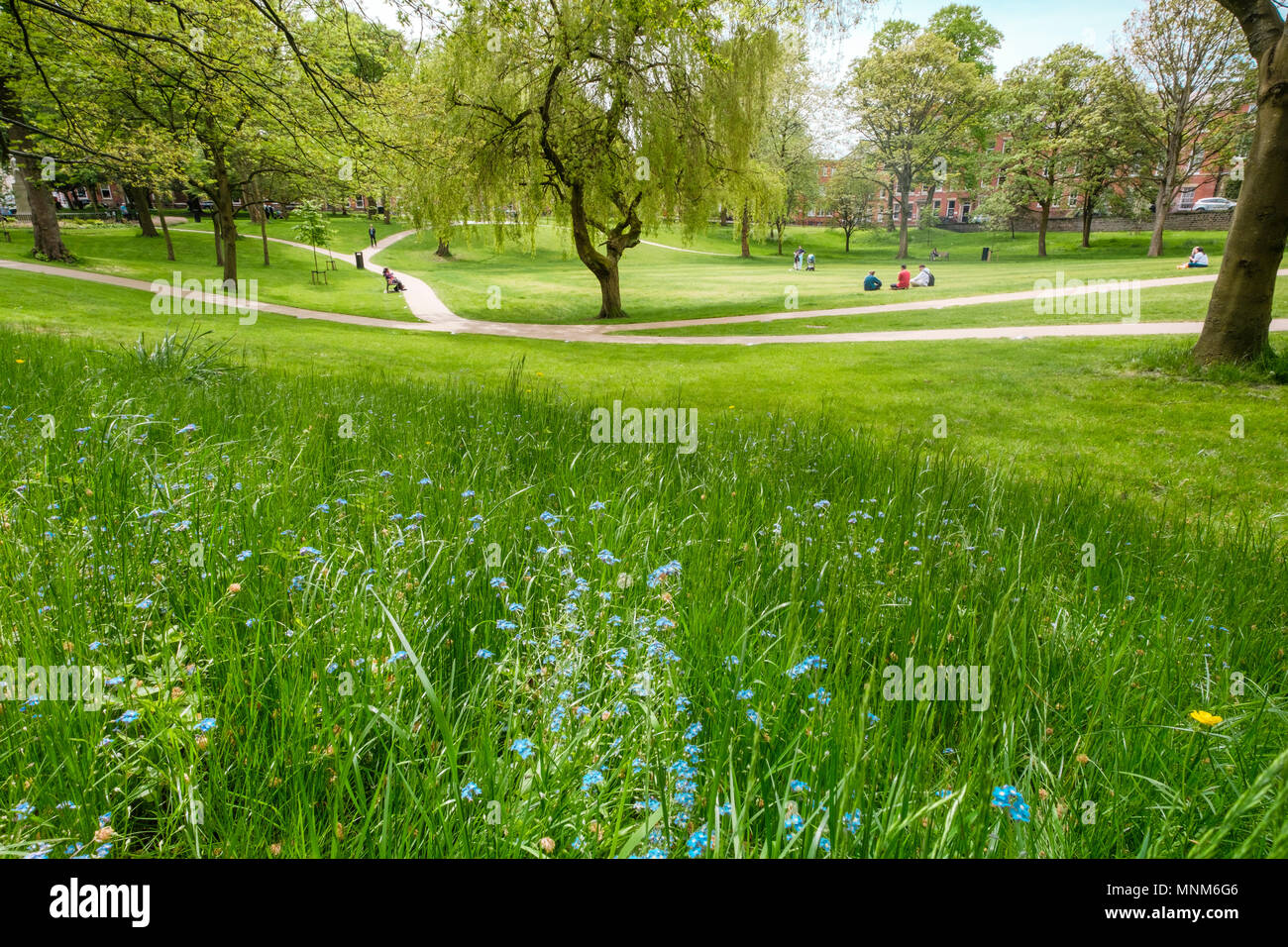 Winckley square preston hi-res stock photography and images - Alamy