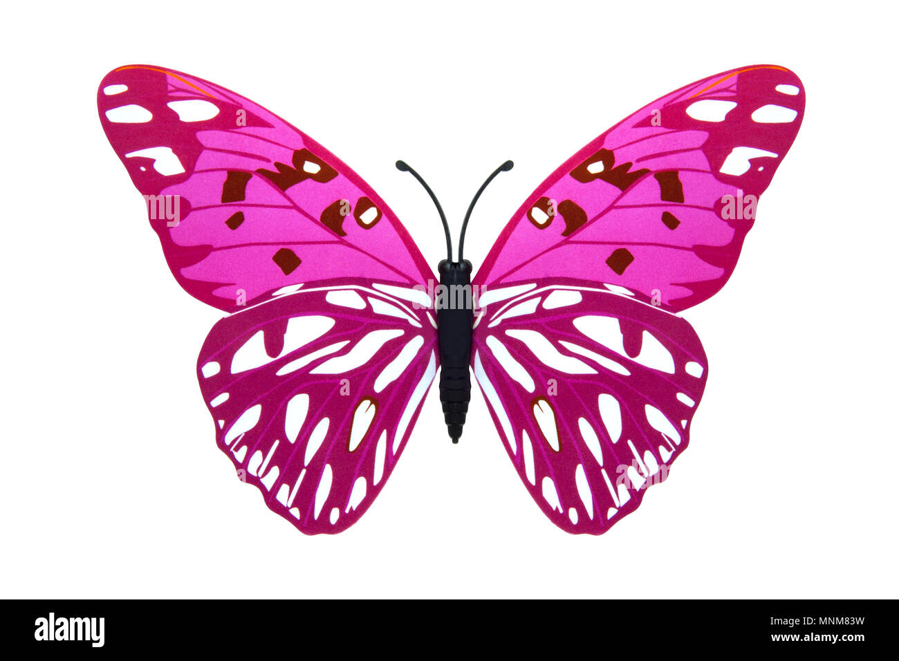 Pink butterfly Cut Out Stock Images & Pictures - Alamy