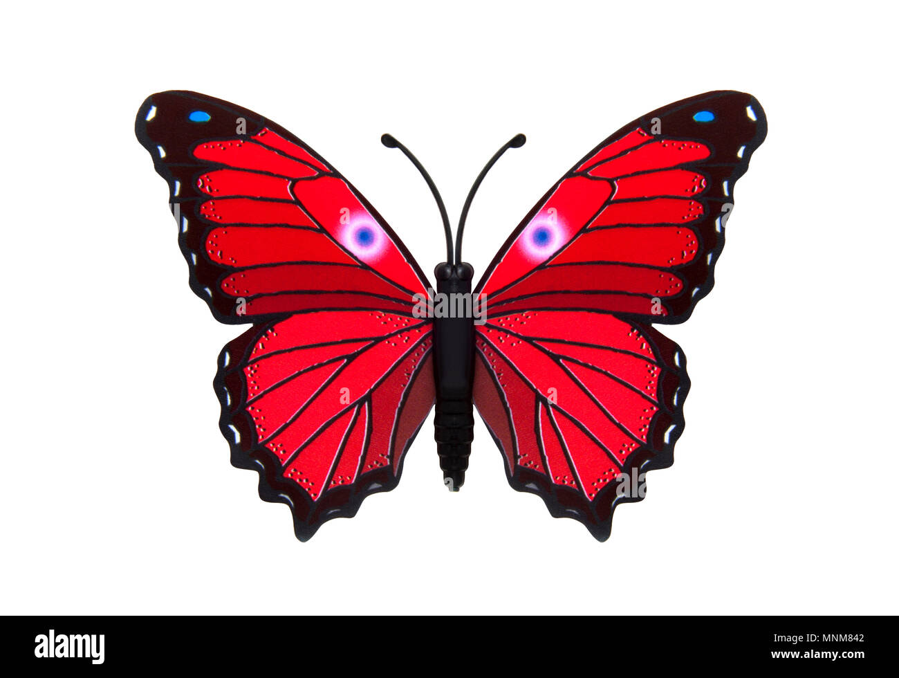 Beautiful red butterfly isolated over white Stock Photo - Alamy